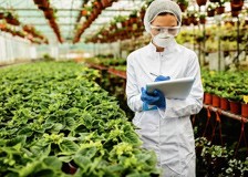 Shri Ramswaroop Memorial University | SRMU